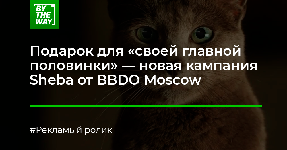 Подарок для «своей главной половинки» — новая кампания Sheba от BBDO Moscow | The Bytheway ...